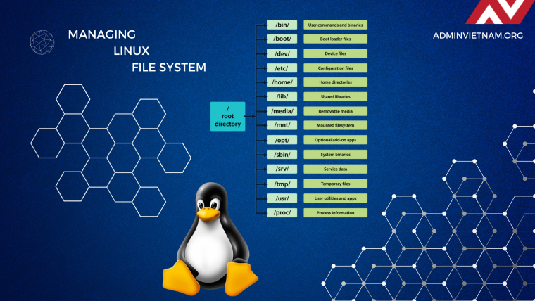Quản lý file và thư mục trong Linux (phần 1)
