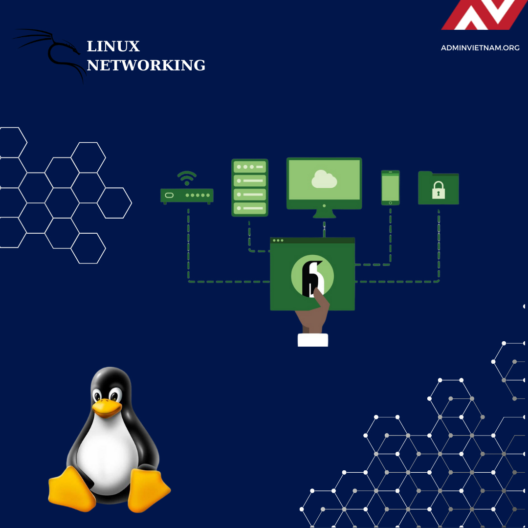 Linux Networking và cơ chế cấp IP Address trên Kali Linux VMware