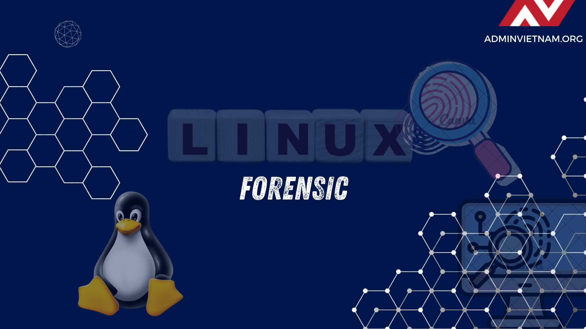 Linux Forensic – Thu thập thông tin