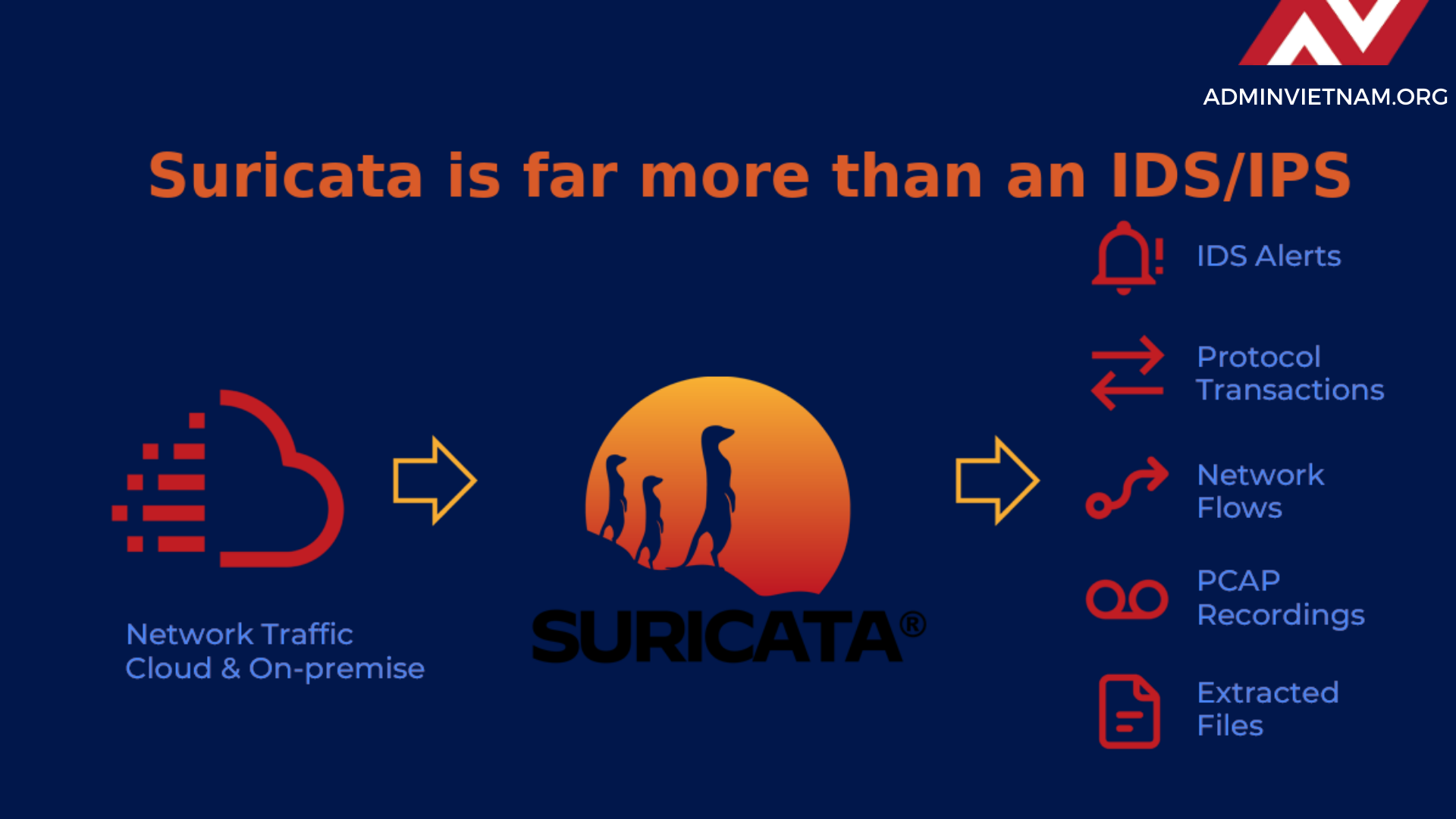 Hệ thống IDS/IPS - Cài đặt và cấu hình Suricata